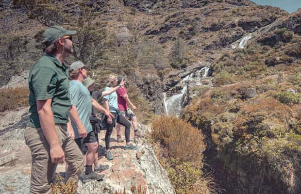 Queenstown: Routeburn Track Guided Full-Day Walk with Lunch | GetYourGuide