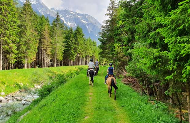 Pontedilegno-Temù: Val d'Avio Horseback Ride with Guide | GetYourGuide