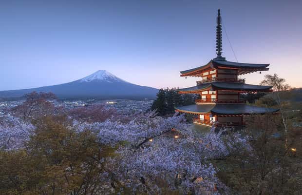 Von Tokio: Private Tagestour zum Fuji | GetYourGuide