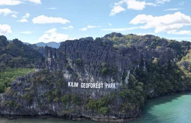 Langkawi Mangrove Tour : Geschatte 2 uur Lunch beschikbaar | GetYourGuide