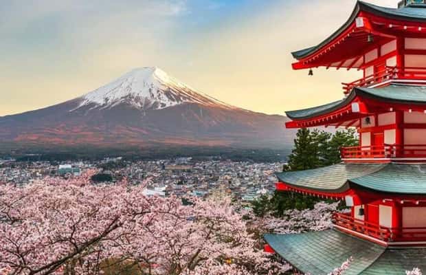 Dagtrip naar de berg Fuji en Hakone vanuit Tokio | GetYourGuide