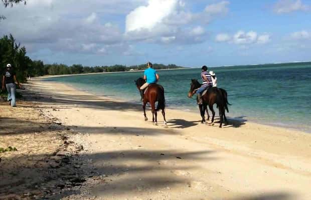Mauritius: Horse riding on the deserted beach of Riambel | GetYourGuide