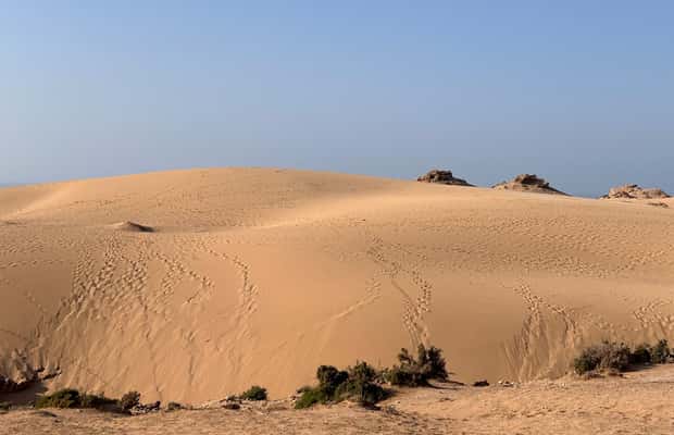 Agadir: Taghazout Village and Timlaline Desert Dunes Tour | GetYourGuide
