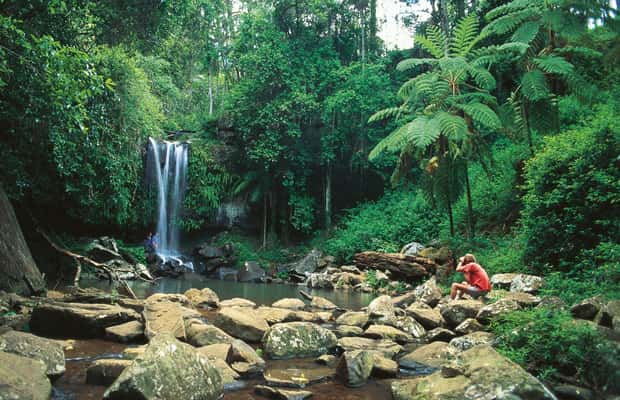 Brisbane: Hop-on-Hop-off-Bus zum Tamborine Mountain | GetYourGuide