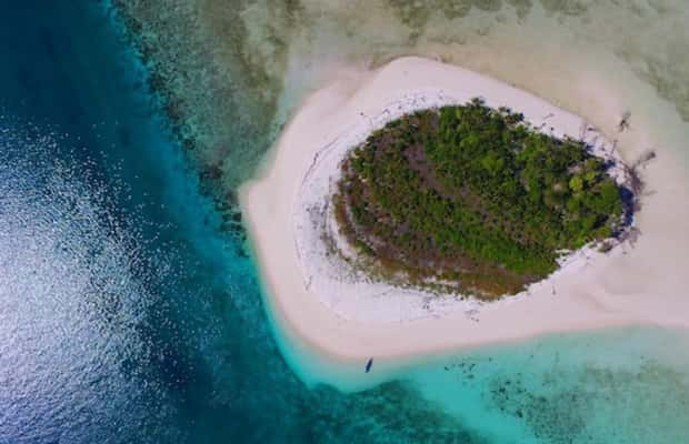 Mnemba Atoll: Dolphin tour & Snorkeling at Maldives beach | GetYourGuide