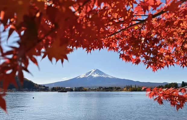 Tóquio: Viagem privada de 1 dia ao Monte Hakone e ao Lago Ashi | GetYourGuide