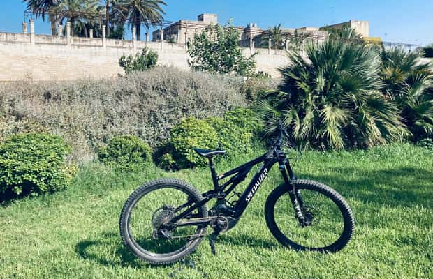 Salento: e-bike tour in the Rauccio Park with a visit to the castle of Acaia | GetYourGuide