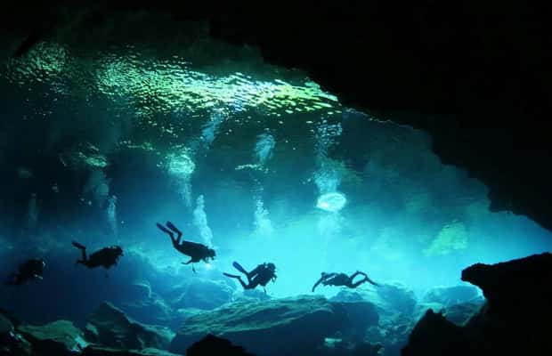 Punta Cana: Cave Diving Experience at Two Unique Dive Spots | GetYourGuide