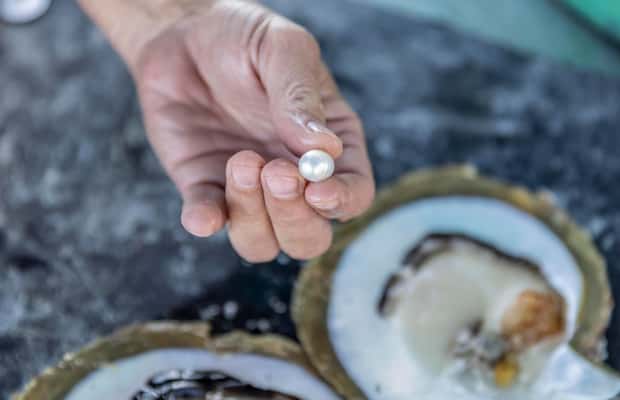 Broome: Paspaley Pearl Farm Afternoon Tour with Transfers | GetYourGuide