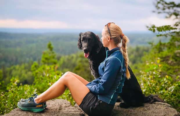 Oslo: maaliline metsa matk koos koera ja kohaliku giidiga | GetYourGuide
