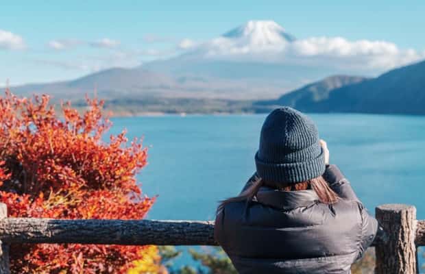 Tokyo: Mt. Fuji Hidden Gems and Aokigahara Forest Tour | GetYourGuide