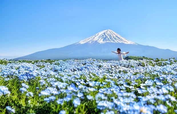 Tokio: dagtrip naar de berg Fuji met mooie uitzichten en lokale stops | GetYourGuide