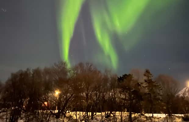 Harstad: Island Tour with Farm Visit and Northern Lights | GetYourGuide