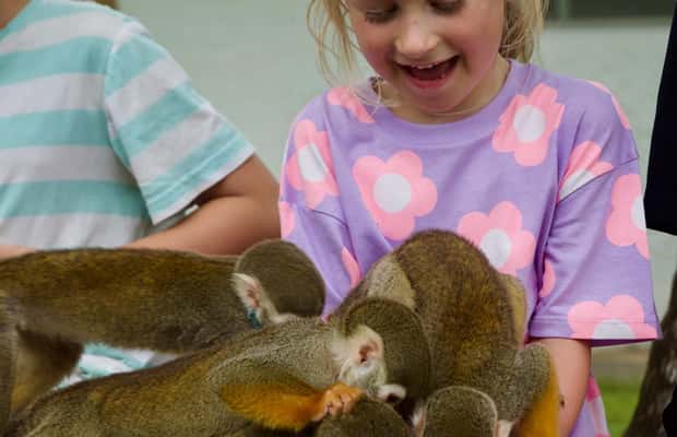 Monkey Encounter Admission Ticket only – Punta Cana | GetYourGuide