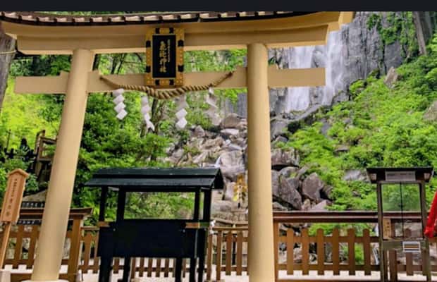 Kyoto/Osaka: Mount Koya & Nachi Falls Private Tour | GetYourGuide