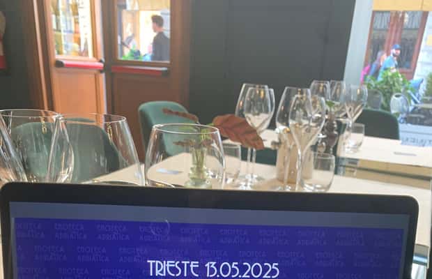 Trieste: Private Wine Tasting Experience at Your Home | GetYourGuide