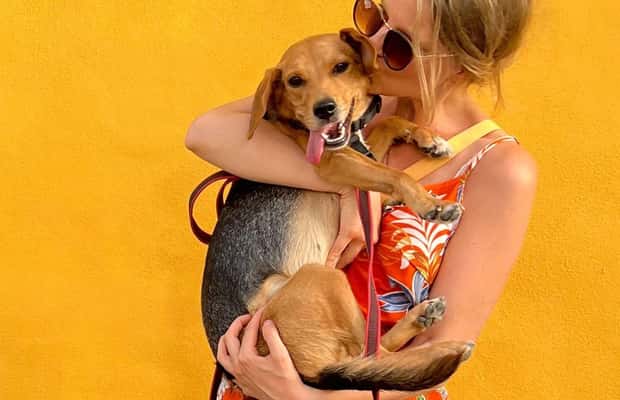 Walking Tour: Alfama History with Annie & Dog Lilly (Lisbon) | GetYourGuide