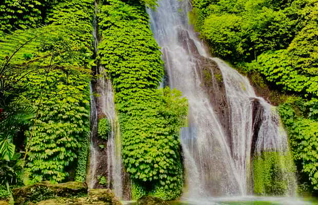 Explore Munduk Customized 8 Hours Day Tour In The North Bali | GetYourGuide