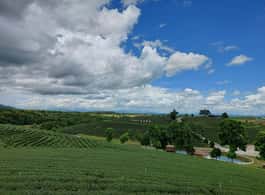 Chiang Rai: Top-Tempel und Sehenswürdigkeiten ~Kostenloses Buffet ...