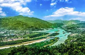 Chengdu: Dujiangyan, Qingcheng Mountain, and Blue Tears Tour | GetYourGuide