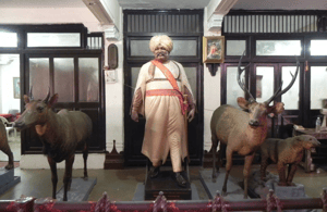 Kolhapur: rondleiding met ontbijt en lunch | GetYourGuide