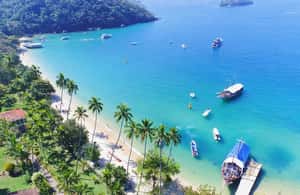 Pirate Boat - Angra dos Reis and Ilha Grande | GetYourGuide