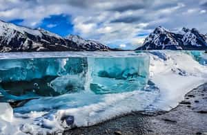Abraham IceBubble/Sunwapta Falls, sneeuwschoenwandelen Bow & Peyto ...