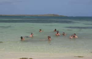 A day at sea to discover the lagoons of the Îlets du François ...