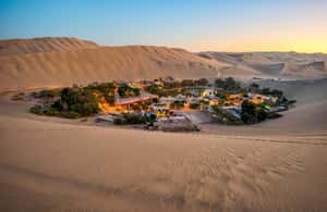 Huacachina: Dune Buggy & Sandboard | Huacachina Oasis | Ica | GetYourGuide