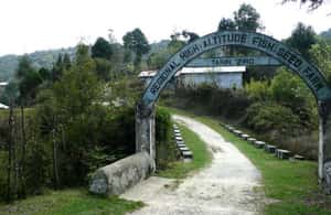 Ziro Valley: 2-Day Tour with Villages and Nature Walks | GetYourGuide