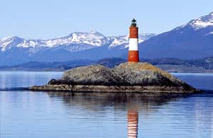 Ushuaia: Tour to Lobos Island with Beagle Channel Trekking | GetYourGuide