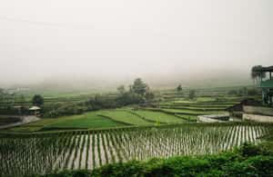 West Java: Garut Highlands 4-Day Tour with Meals | GetYourGuide