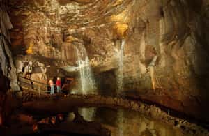 Vanuit Londen: dagtour naar de Dan Yr Ogof-grotten in Brecon Beacons ...