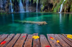 Visita guiada al Parque Nacional de los Lagos de Plitvice desde el ...