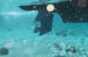 Vodice: 4 Islands Private Half-Day Boat Tour | GetYourGuide