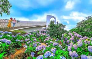 Jeju: Private Shore Excursion for Cruise Guests– West&South | GetYourGuide