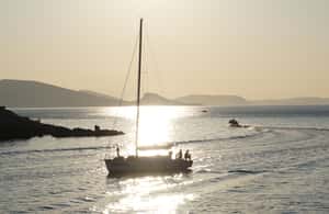 Athens: Athenian Riviera Sunset Cruise with Dinner & Drinks | GetYourGuide