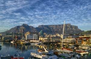 Cape Town: Professionally Curated Tour with Local Guide | GetYourGuide