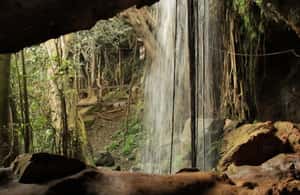 Nairobi: Ololua Nature Trail og Mau Mau-hulerne med picnic | GetYourGuide