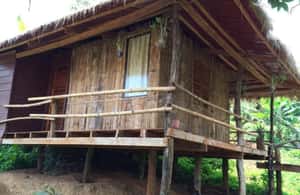 Phnom Penh: Battambang Day Trip with Bamboo Train Ride | GetYourGuide