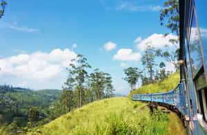 Ella: Kuratierte Panorama-Zugfahrt ab Nanu Oya mit Einheimischen ...