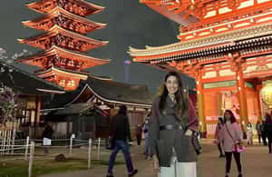 Tokyo Night Private Tour With English Speaking Driver | GetYourGuide