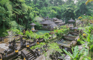 Bali: Full Day Trip Sangeh, Abian Desa, Sebatu, & Umah Kuno | GetYourGuide