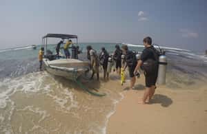 Mirissa: Scuba/Wreck Diving Experience (Shallow & Deep) | GetYourGuide