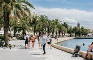Split: Diocletian's Palace and Old Town Guided Walking Tour | GetYourGuide
