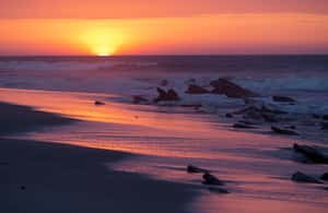 Máncora: Fiesta en barco - Puesta de sol y vibraciones playeras ...