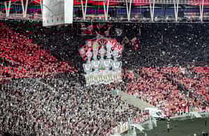 Rio de Janeiro: Guided tour to a football game in historic stadiums ...