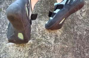 Climb in Fontainebleau from Paris with a certified guide | GetYourGuide