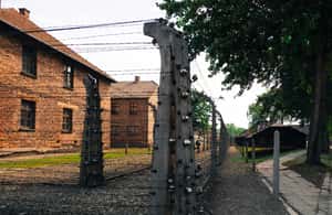 Prague: Terezin Concentration Camp Private Day Trip | GetYourGuide