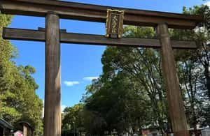 Osaka: Sakai Day Tour with Lunch and Transfers | GetYourGuide